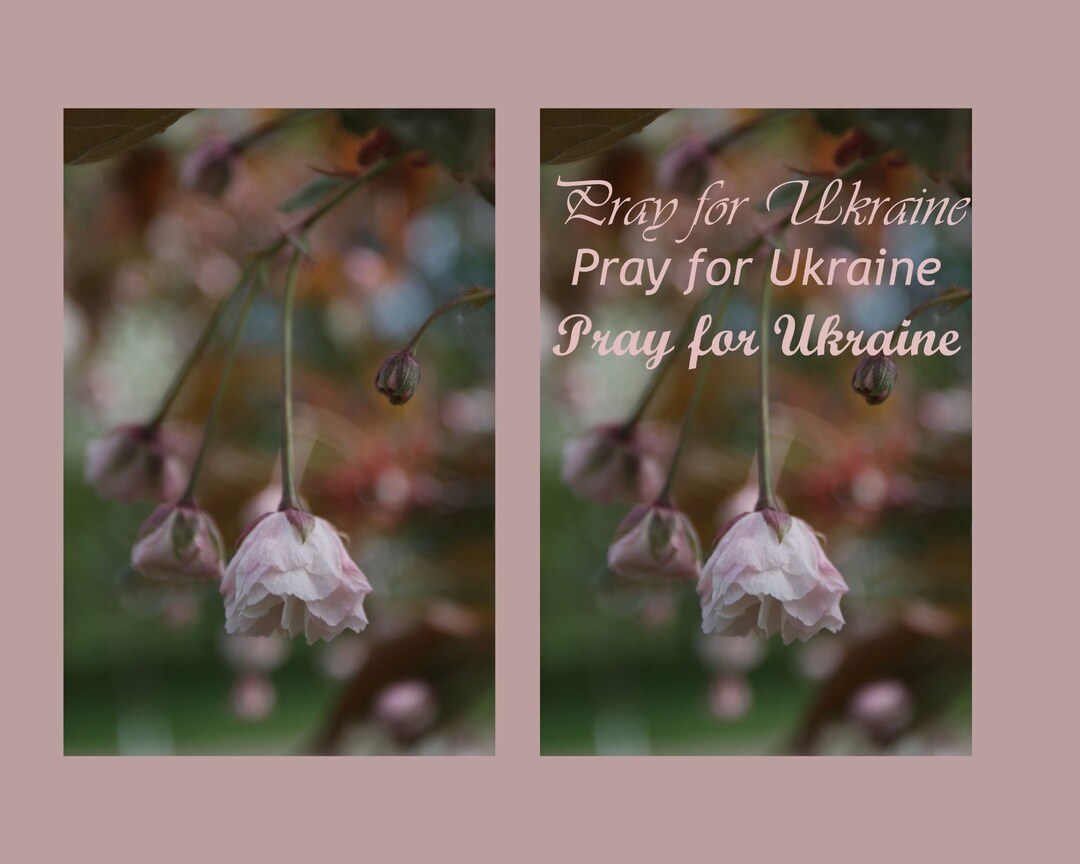 Custom Inscription on Photo Digital Postcard Personalized - Etsy