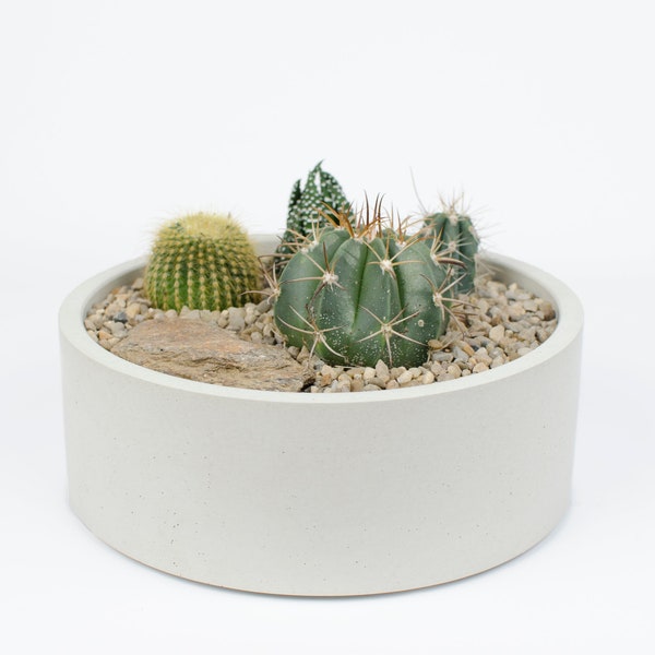 White Shallow Planter - Etsy