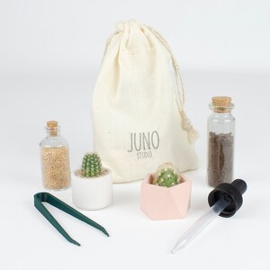 DIY Mini Pot and Cactus Kit Handmade Pot Set of Two Pots and Cacti ...