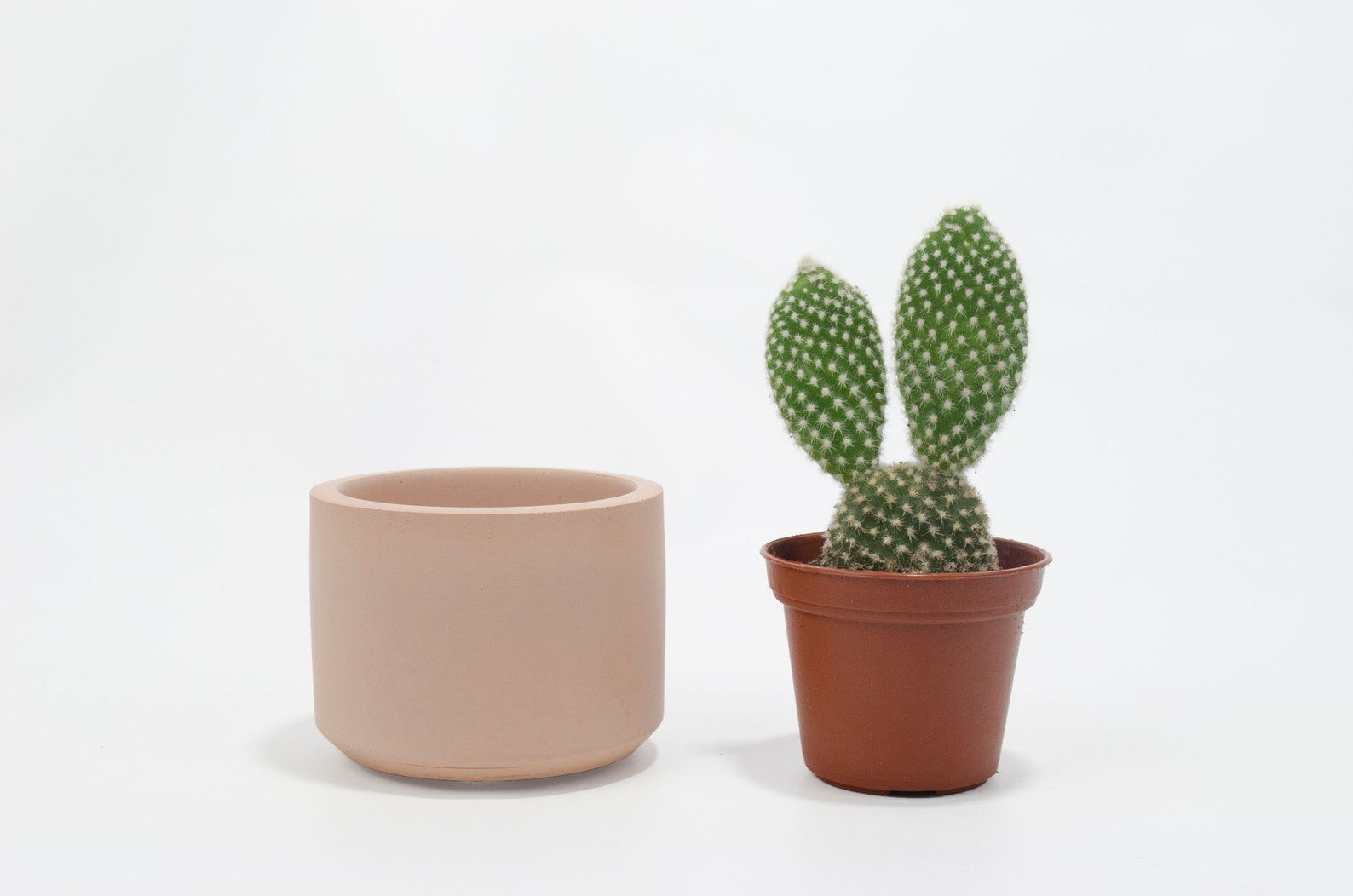 Set of 3 Small Cylinder Pots Mini Cactus Pots Small Indoor - Etsy