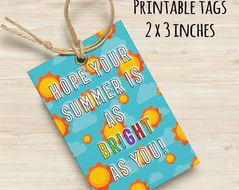 Printable Have a Cool Summer Tag End of School Year Tag End - Etsy