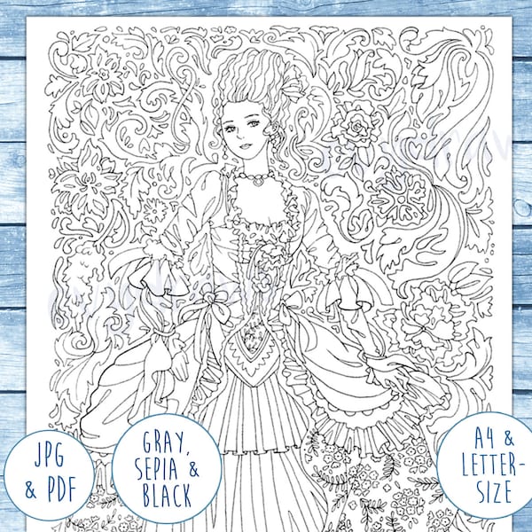 Marie Antoinette Costume - Etsy