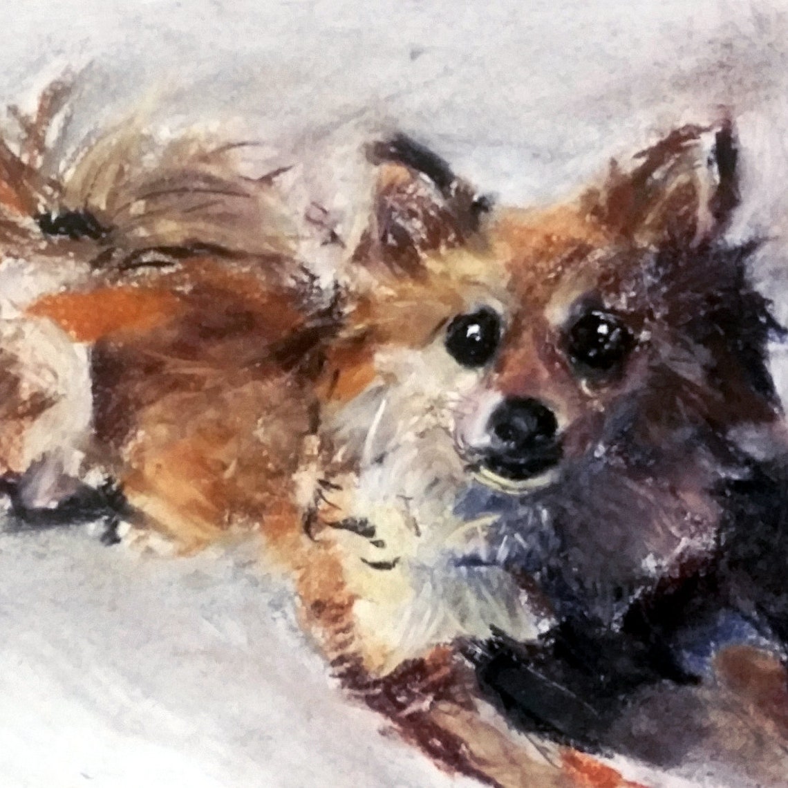 Pastel Pet Portraits Made to Order - Etsy