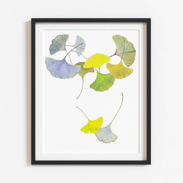 Gingko Leaf Print - Etsy