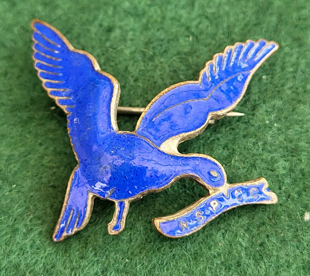 Vintage Blue Enamel Bird Badge N.S.P.C.C League of Pity. Vintage NSPCC ...