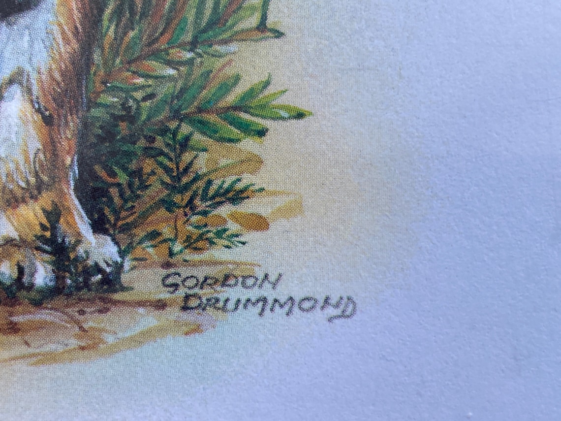 WWF 1993 Tiger Token. WWF Tiger Official Philatelic-numismatic - Etsy UK