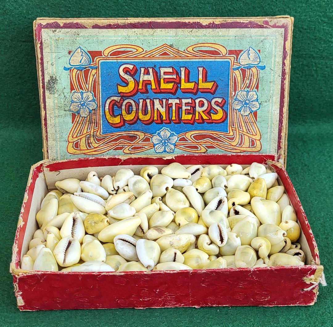 Antique African Cowries Game Counters. Antique African Cowrie Shell in ...