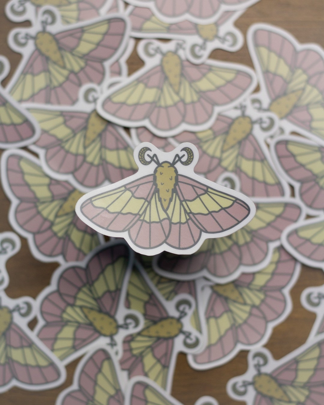 Rosy Maple Moth Matte Vinyl Sticker | Among Thorns and Roses | Among ...