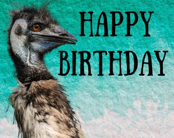 Emu Greetings Card | Emu Card | Emu | Birthday Card - Etsy