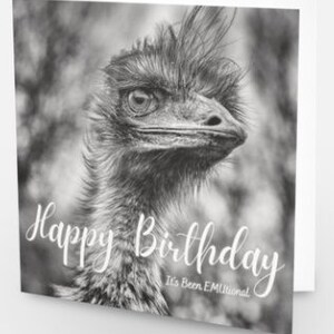 Emu Birthday Card | Emu Card | Emu - Etsy