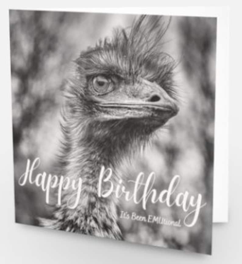 Emu Birthday Card | Emu Card | Emu - Etsy