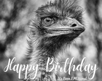 Emu Greetings Card | Emu Card | Emu | Birthday Card - Etsy