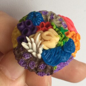 Coral Reef Ring - Etsy