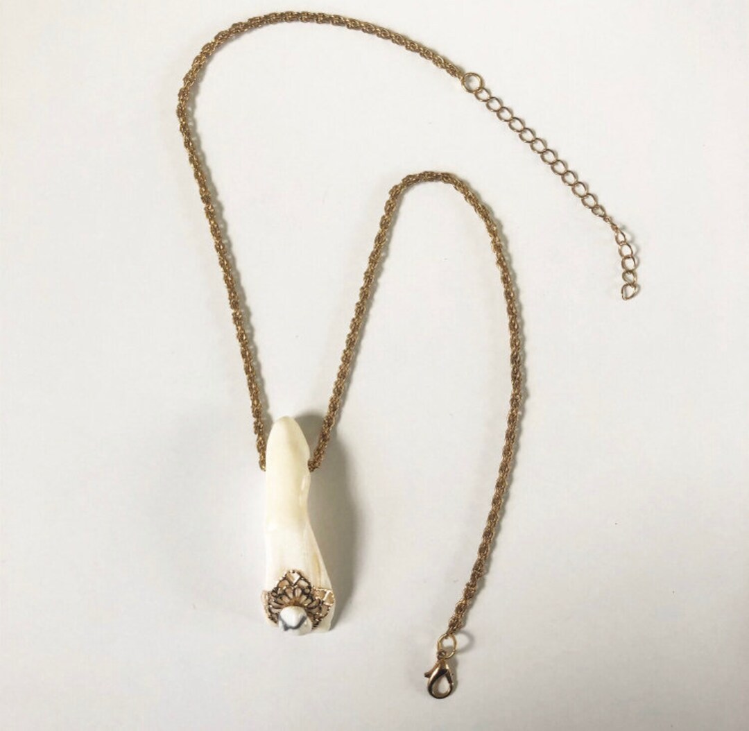 Tooth Necklace - Etsy