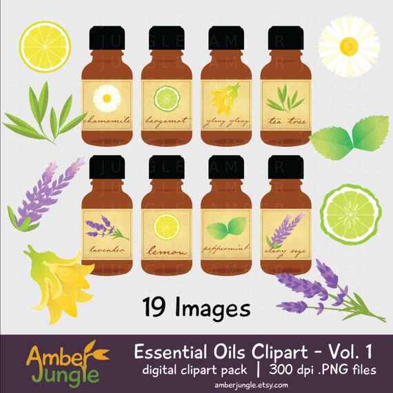 Lavender Essential Oils Clip Art