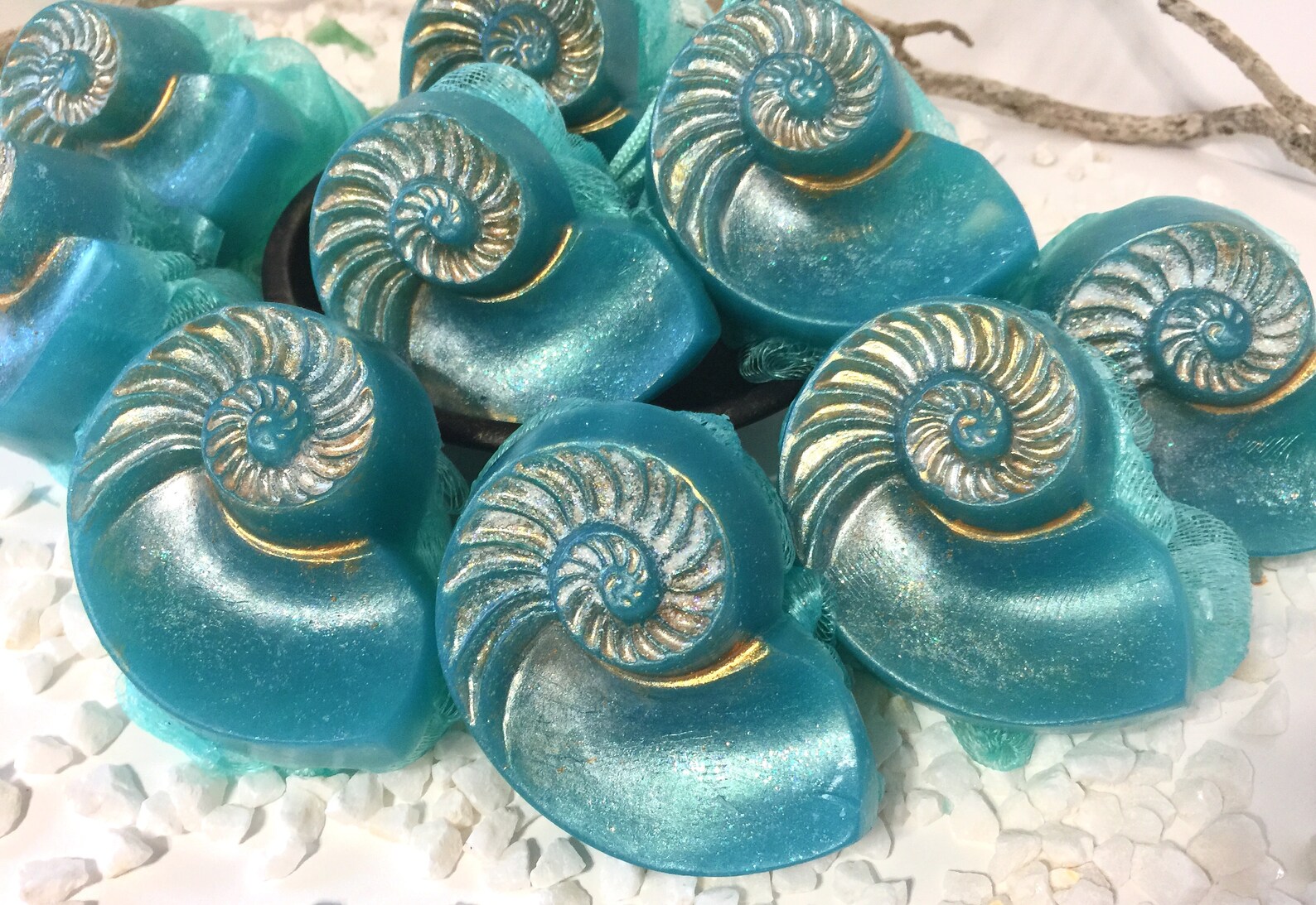 Sea Shell Soap and Sponge Ocean Treasures - Etsy