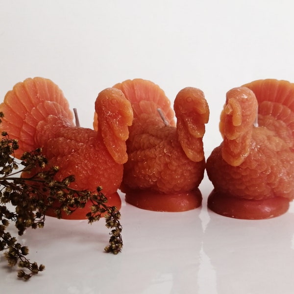 Turkey Candles - Etsy