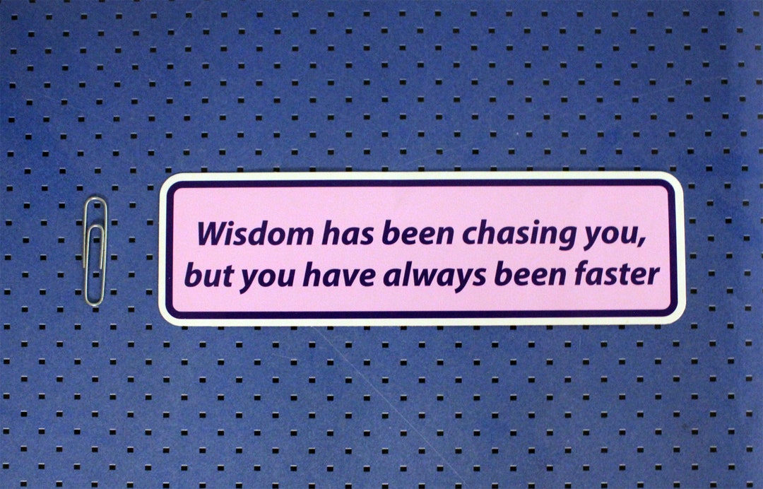 Wisdom Has Been Chasing You Bumper Sticker - Etsy Wisdom Has Been Chasing You Bumper Sticker - Etsy