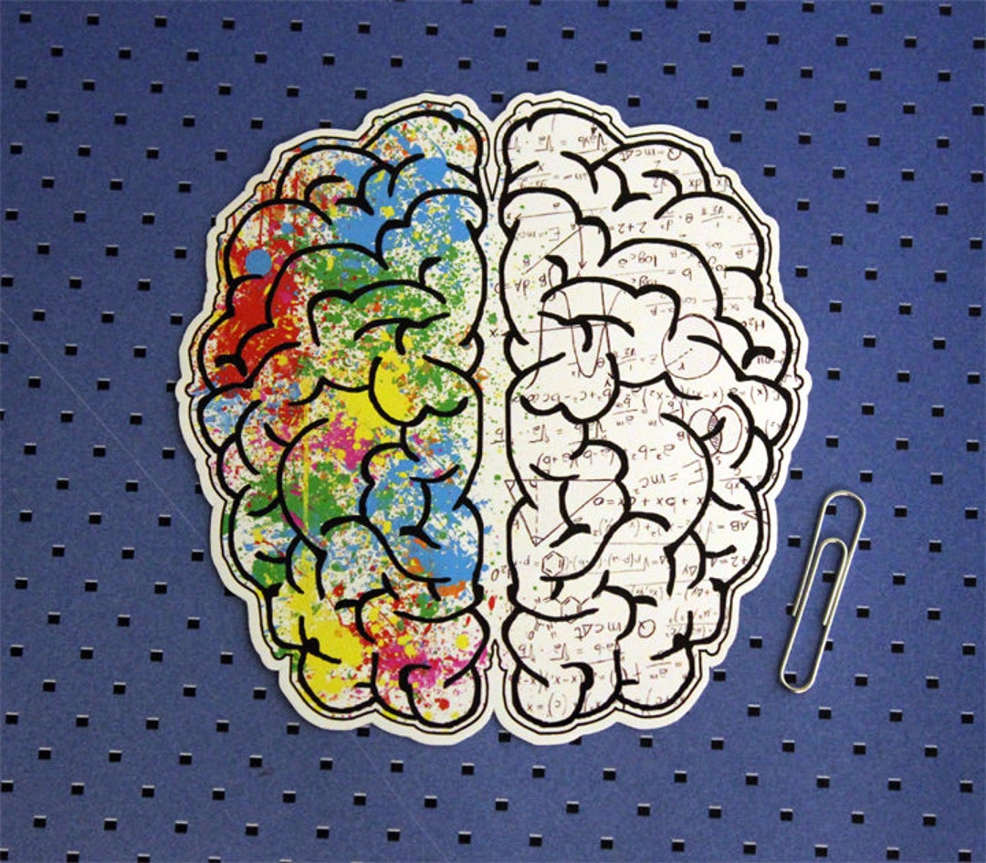 Brain Hemispheres Bumper Sticker - Etsy