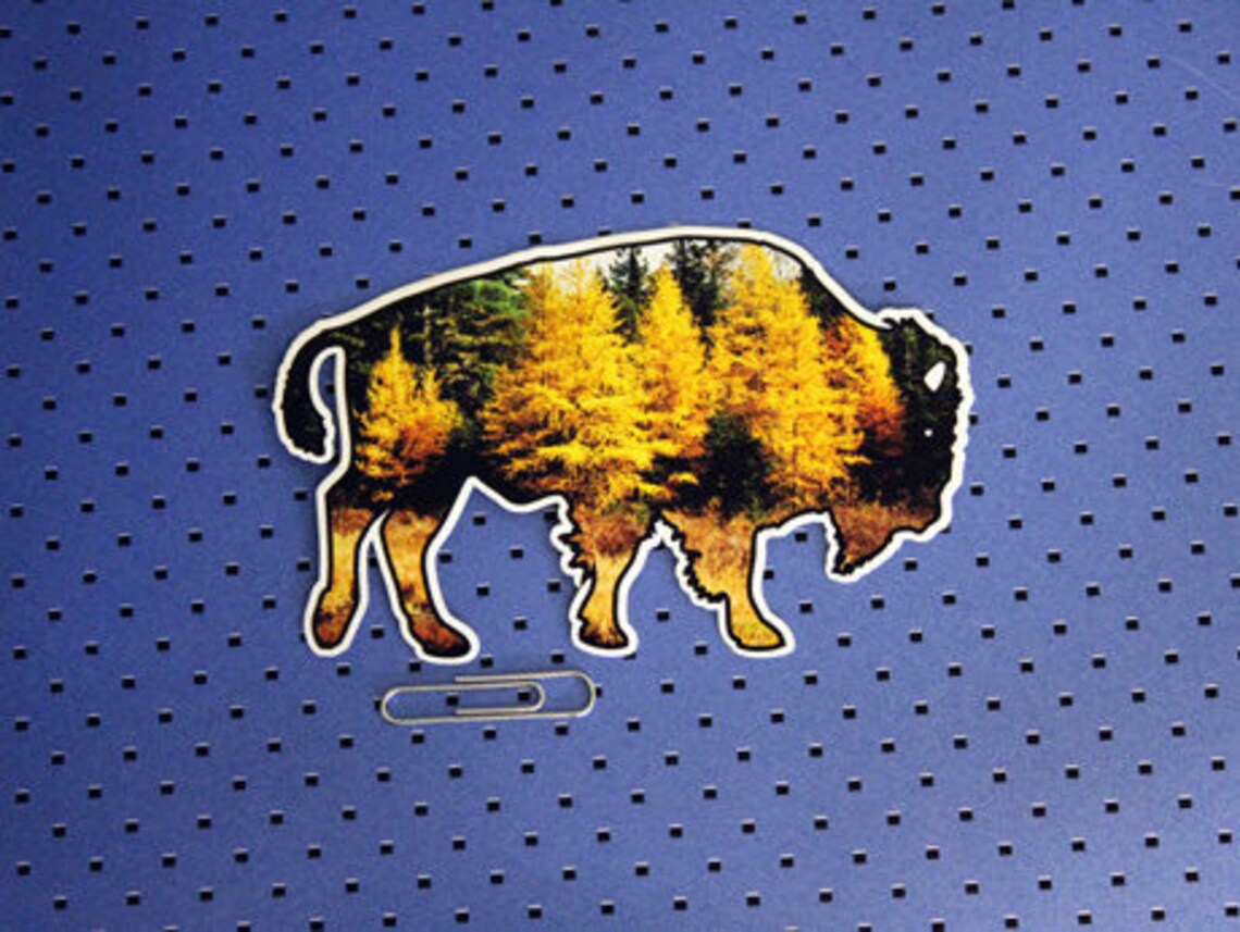 Pines Buffalo Bumper Sticker - Etsy