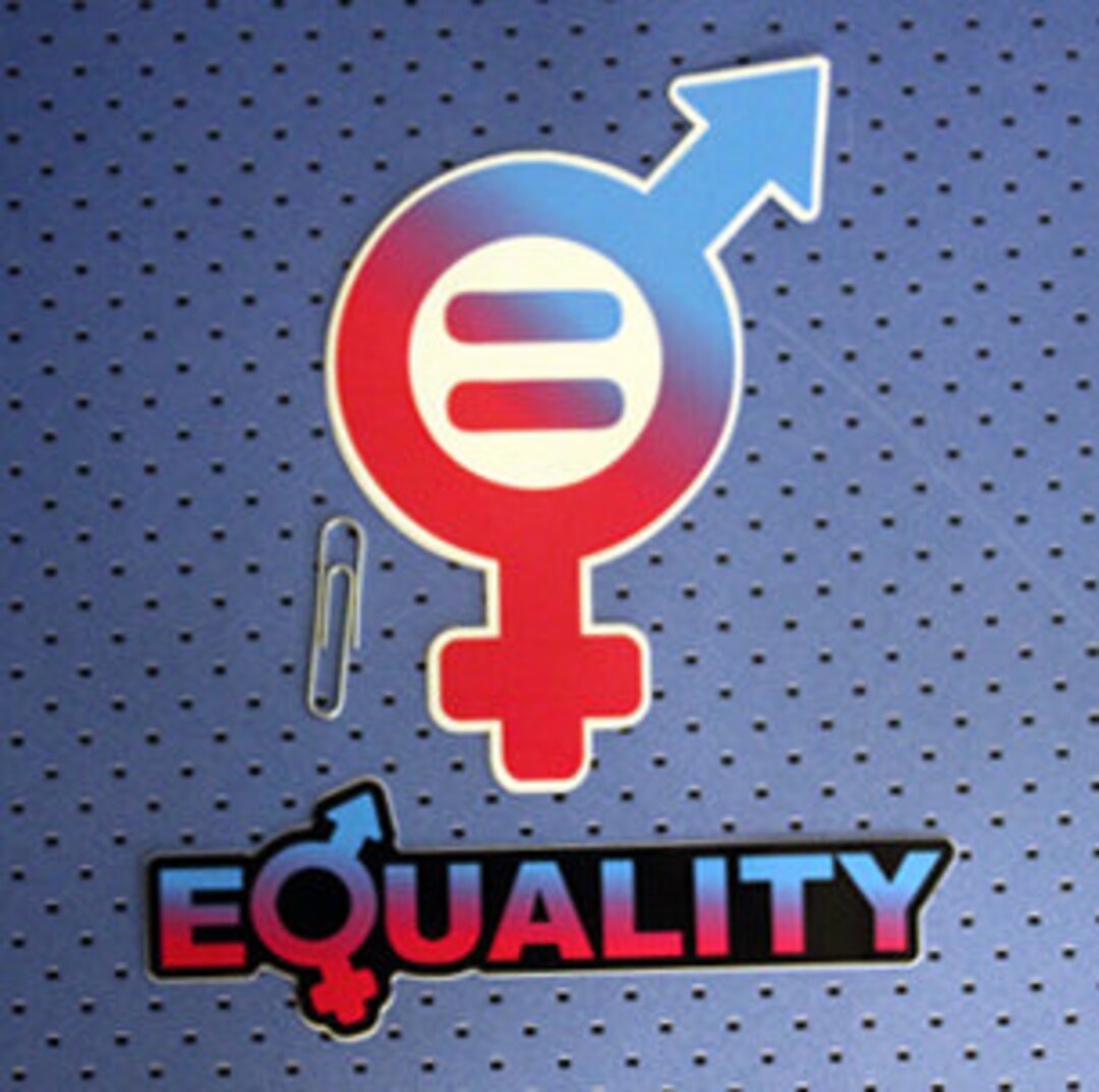 Gender Equality Bumper Stickers Combo - Etsy