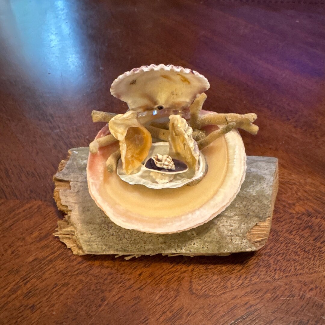 Original, One-of-a-kind Christmas Shell Nativity Scene Ornament, Holy ...