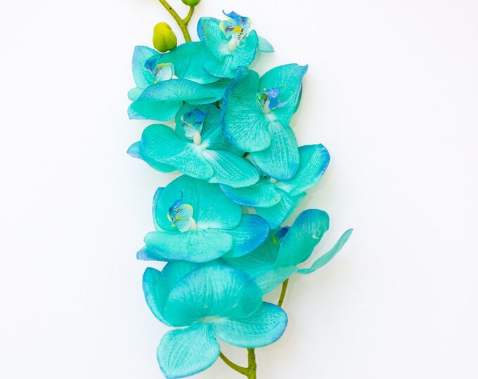 Turquoise Real Touch Orchids, Real Touch Flowers, Aqua Teal ...