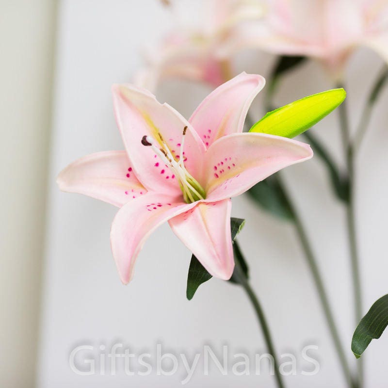 Pink Real Touch Tiger Lily Real Touch Flowers Tiger Lily | Etsy