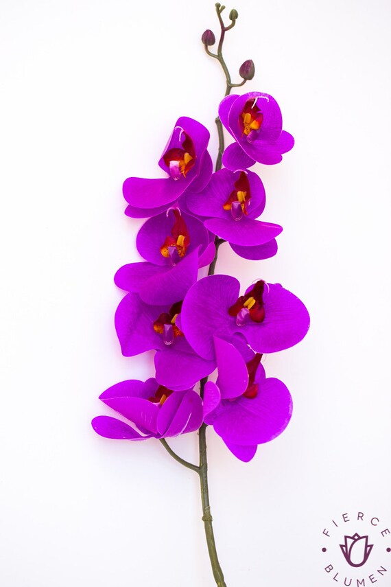 Real Purple Flower By Name