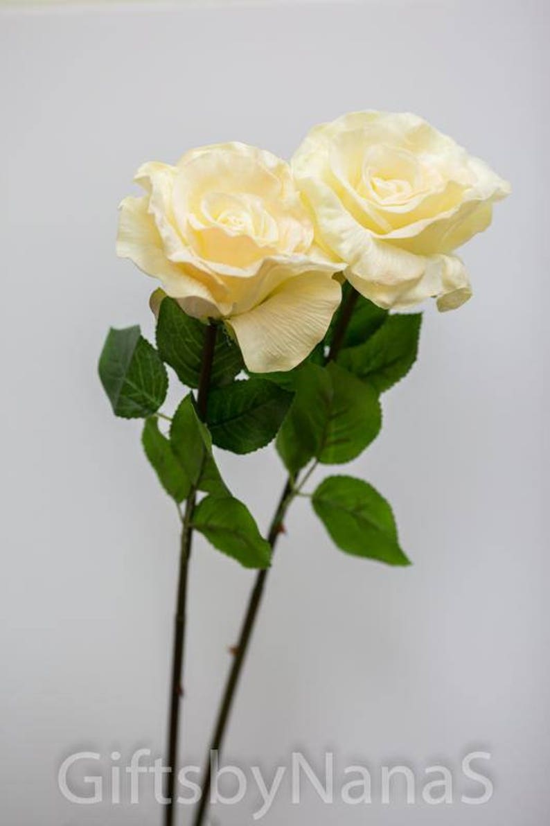 Blush Pink Ivory Roses Real Touch Flowers Real Touch Roses - Etsy