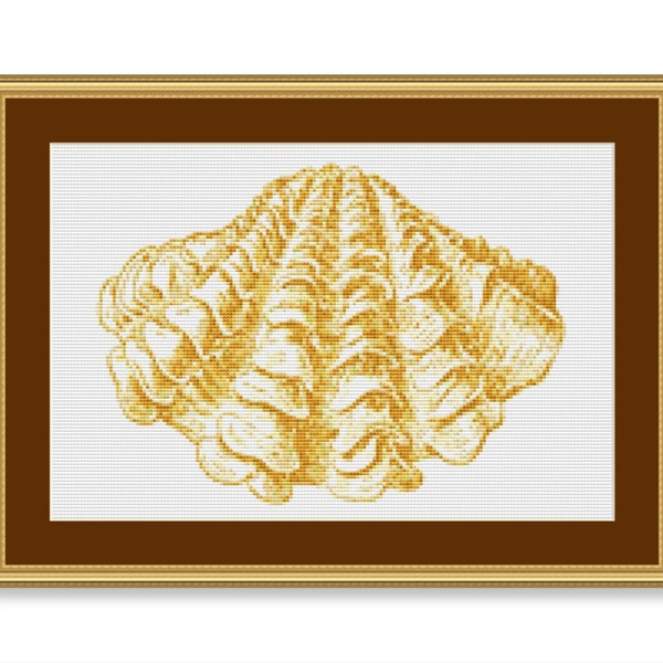 Giant Clam Shell - Etsy