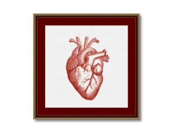 Two Human Hearts Sewn Together