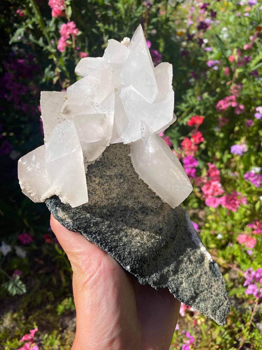 Washington Rhombohedral Calcite Blades on Black Aragonite, Found in ...