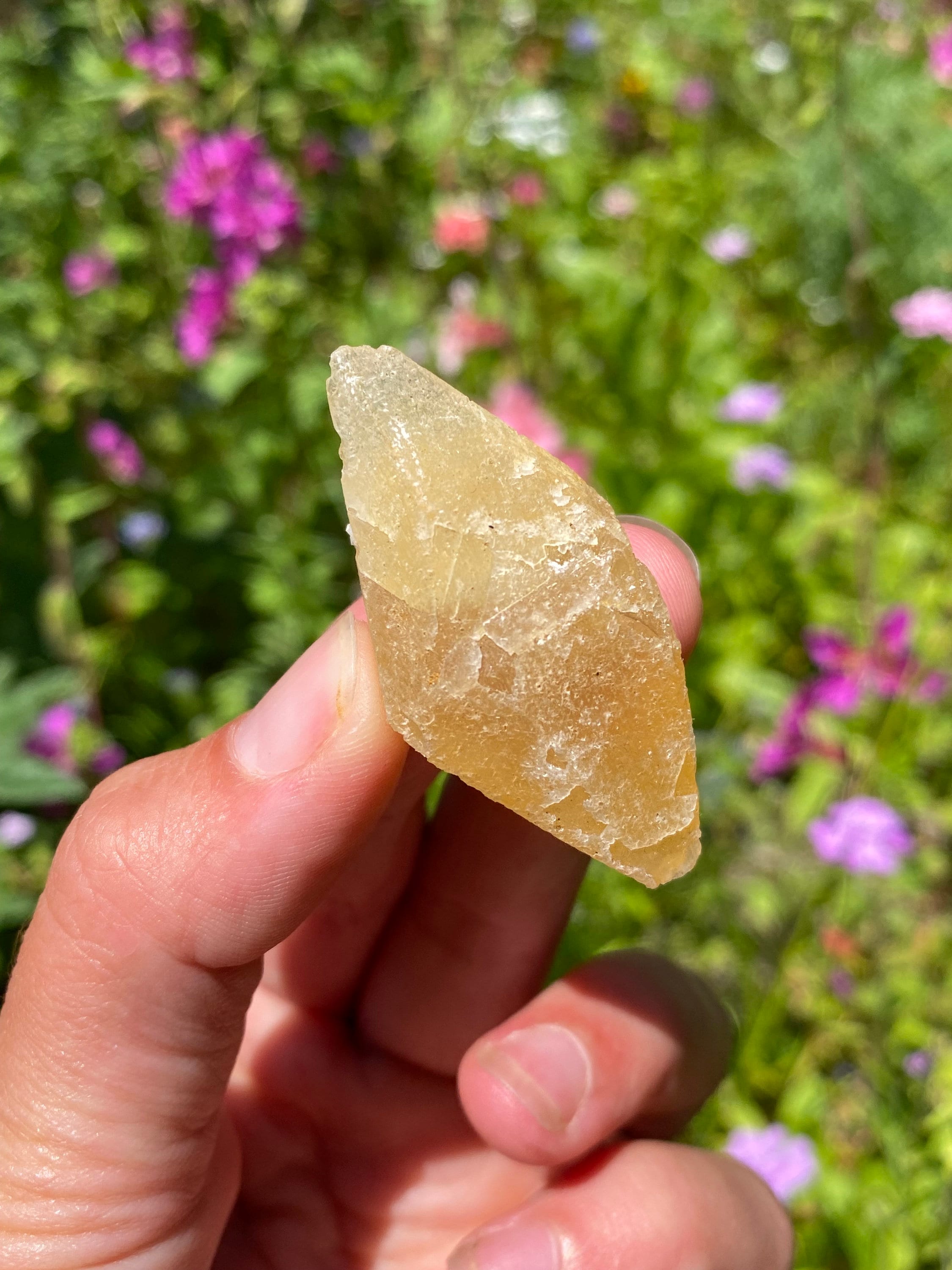 Montana Golden Calcite Crystal Wholesale Lot, 11 Specimens, Found in ...