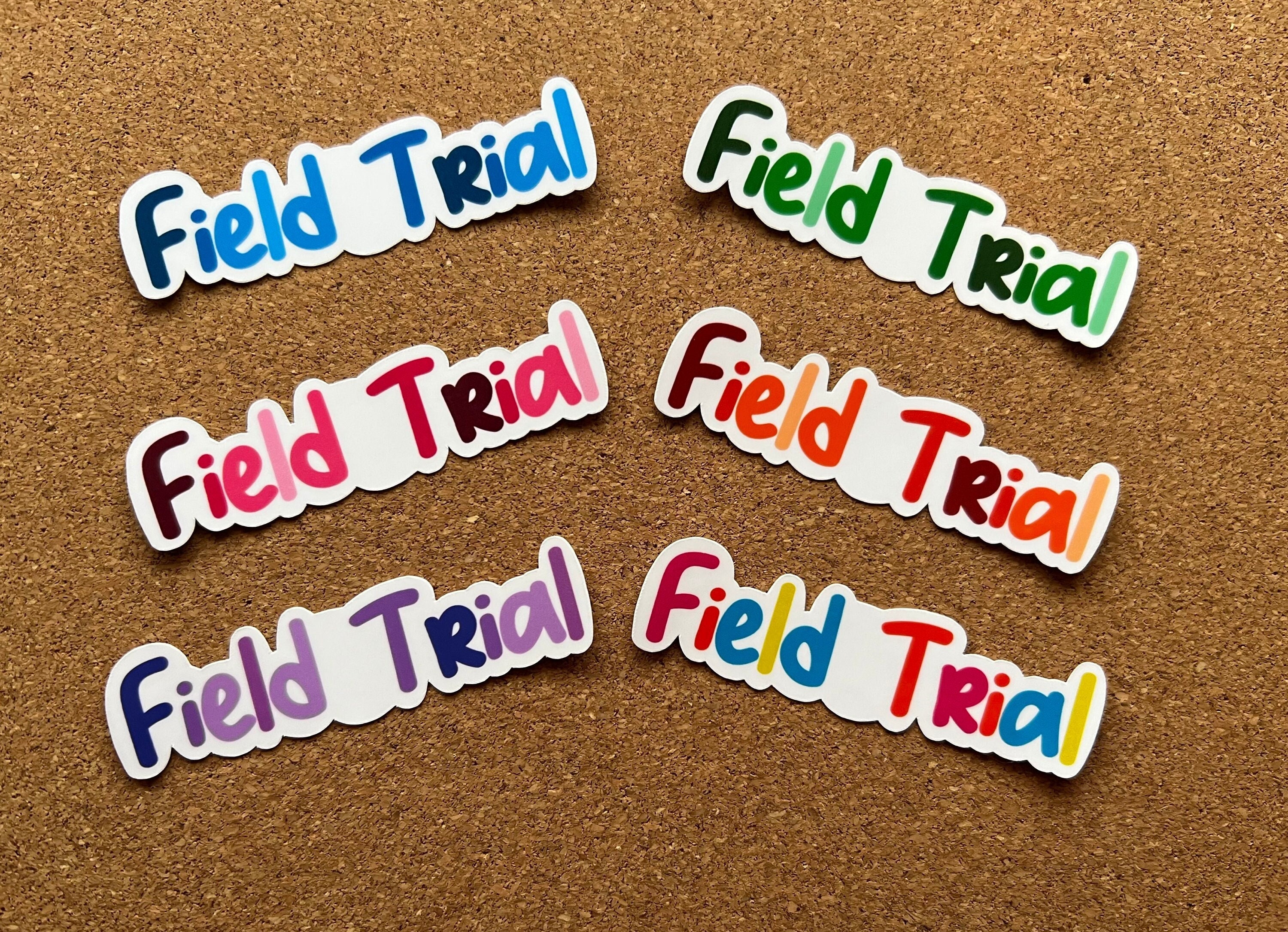 Retriever Field Trial Sticker, Gift for Hunter, Bird Dog Decal, Hunting ...