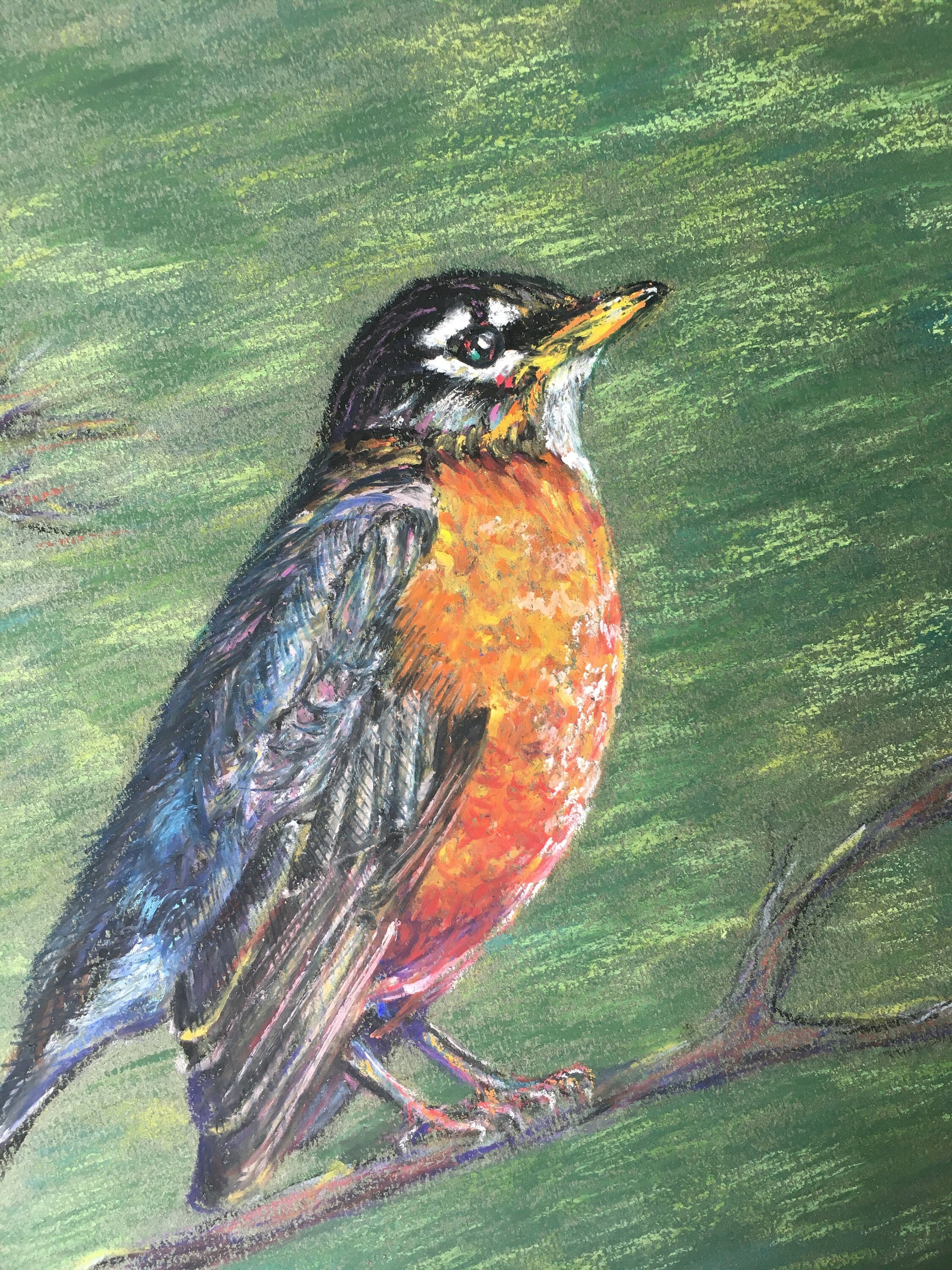 Rockin' Robin Pastel Painting - Etsy