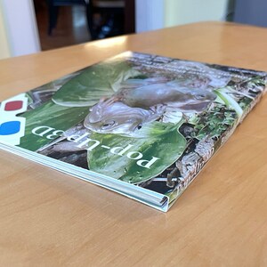 Pop-up 3D Book - Etsy