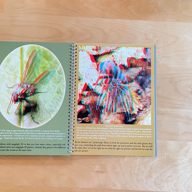 Pop-up 3D Book - Etsy