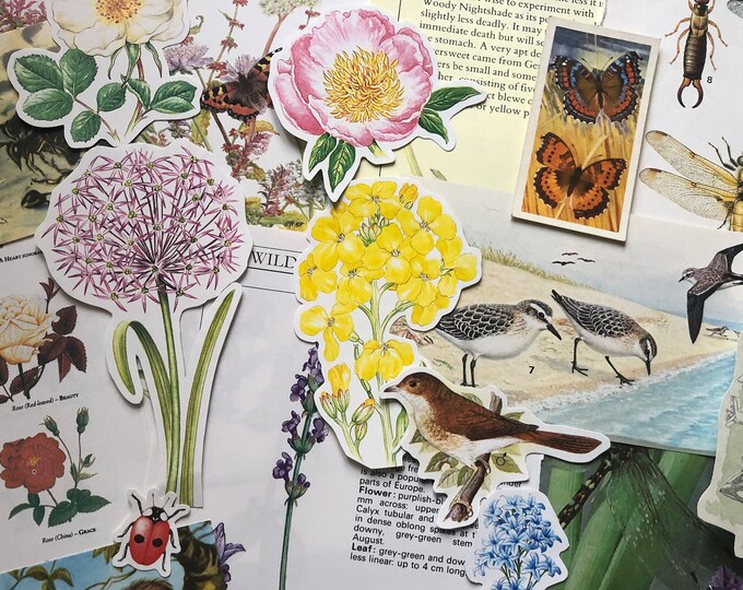 Summer Ephemera - 25pc Paper Pack Vintage Collage Kit - Nature Season ...
