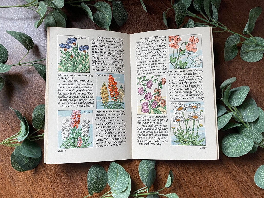Vintage Garden Flowers Book: 1950s Illustrated Botany Reference - Etsy