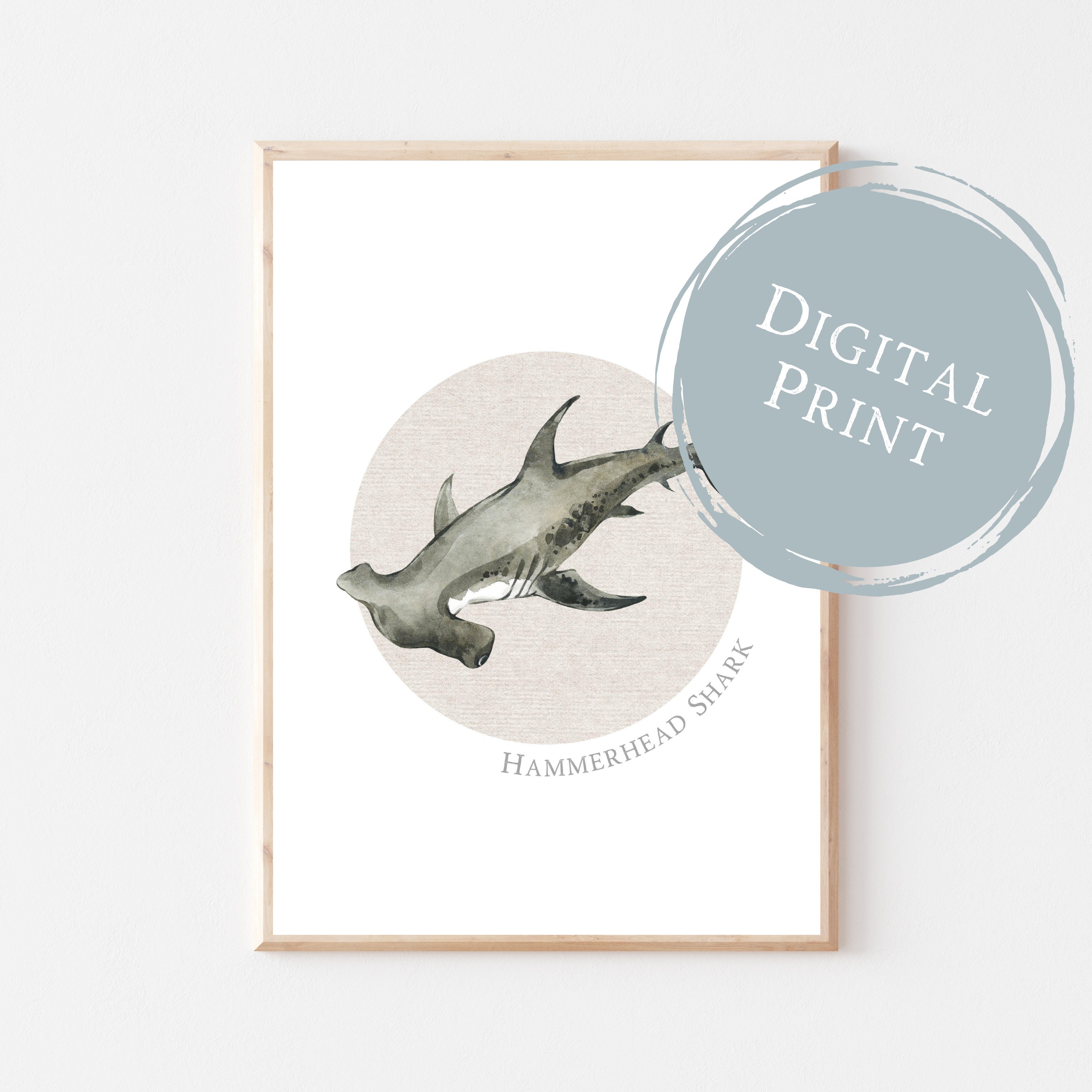 Hammerhead Shark Pictures For Kids