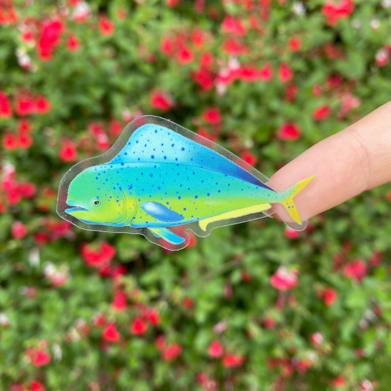 Mini Mahi-Mahi Fish Vinyl Sticker | Etsy