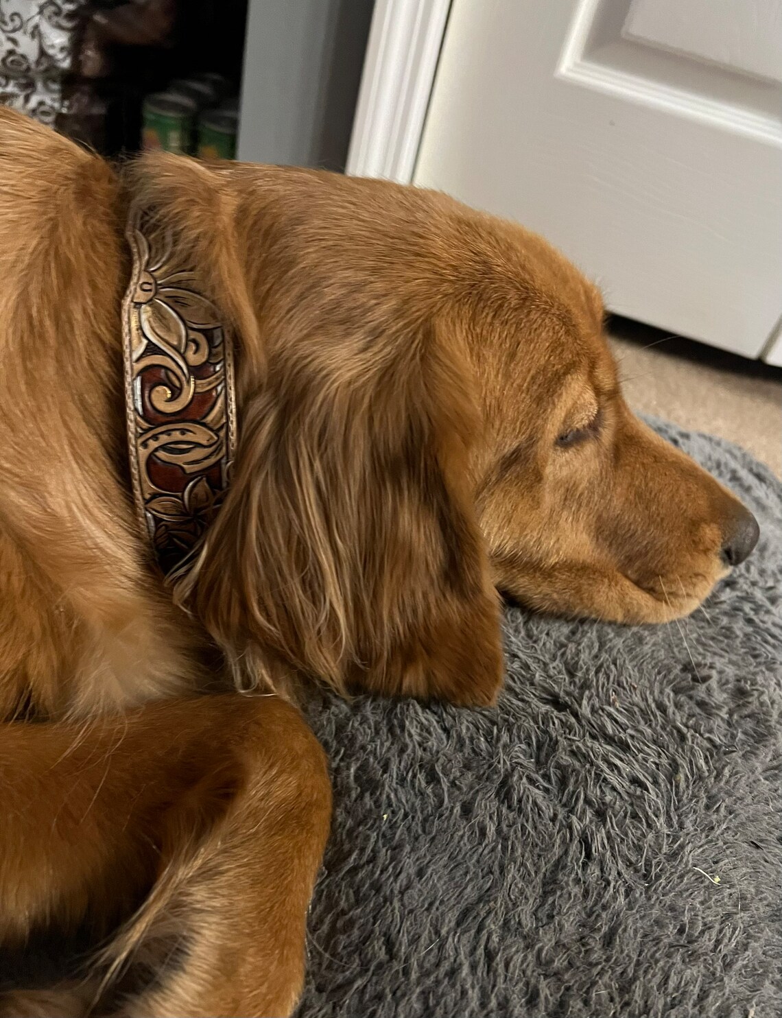 Hand Tooled Leather Dog Collar custom 2-tone Western - Etsy