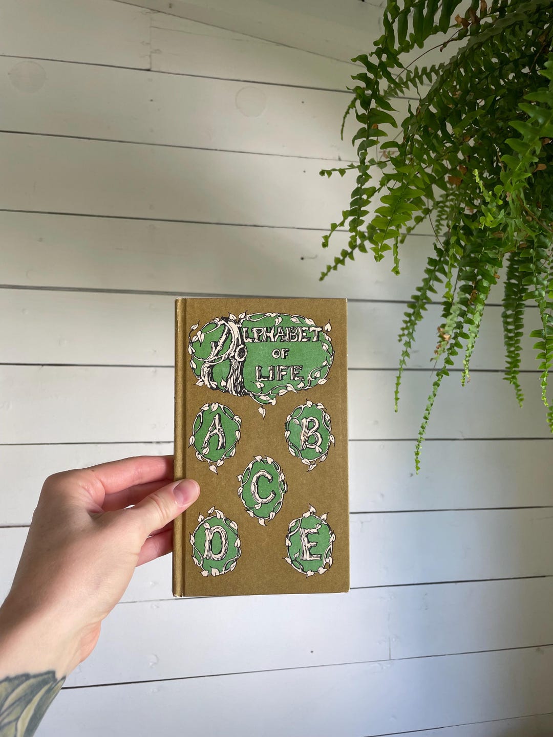 Vintage Alphabet of Life Book/1968 Peter Piper Press - Etsy