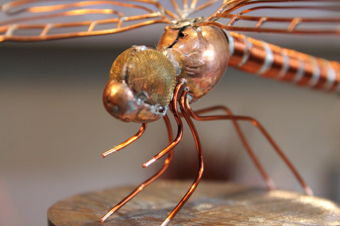 Dragonfly Wire Sculpture Hand Made From Copper Wire , Sheet and Mesh ...