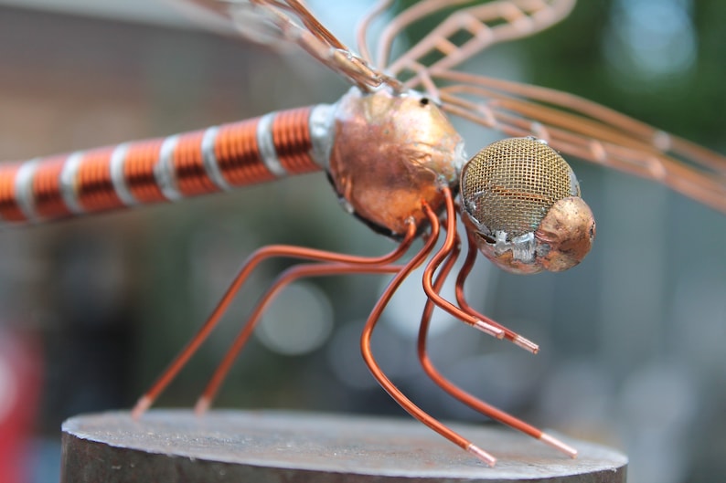 Dragonfly Wire Sculpture Hand Made From Copper Wire , Sheet and Mesh ...