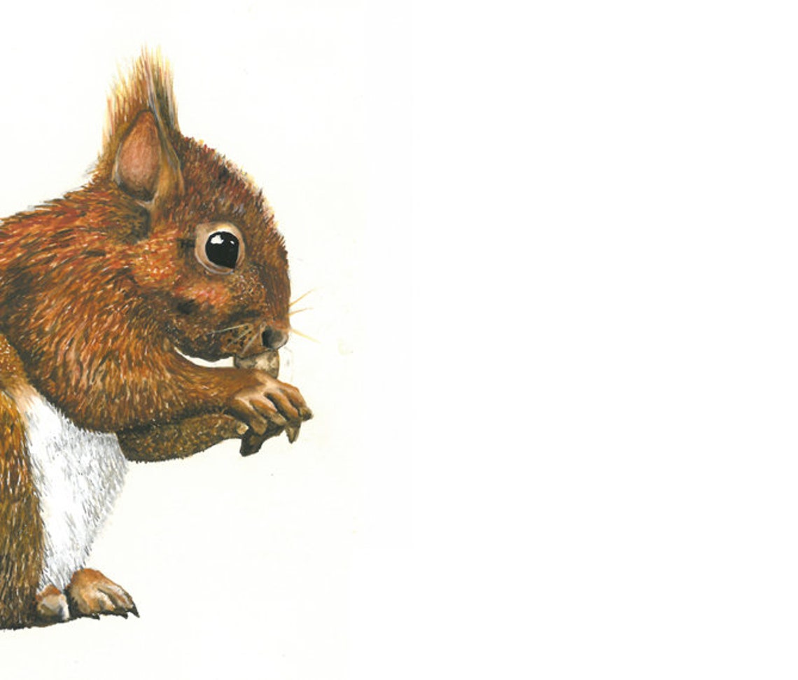 Red Squirrel Squirrel Wedding Card Squirrel Card | Etsy