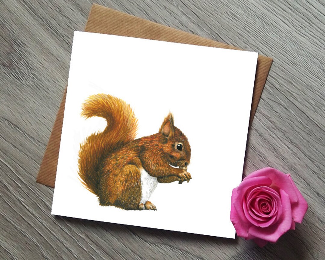 Red Squirrel Card: Watercolour Art, Squirrel Lover Gift - Etsy