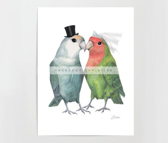 Wedding Love Birds Drawing