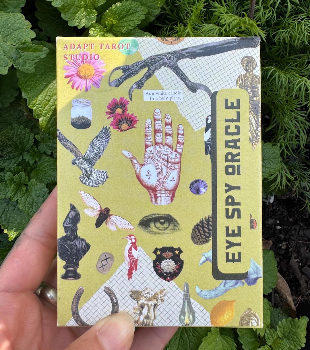 Eye Spy Oracle Deck and Guidebook - Etsy